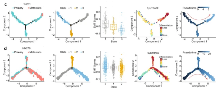 EICD || 刻画肿瘤与免疫细胞之间的紧张局势-腾讯云开发者社区-腾讯云