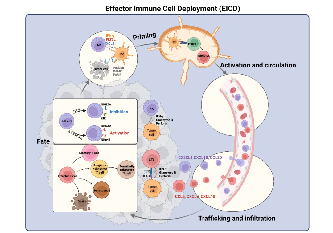 EICD || 刻画肿瘤与免疫细胞之间的紧张局势-腾讯云开发者社区-腾讯云