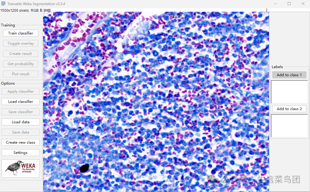 如何打开dat文件之从mrxs图像到细胞识别-腾讯云开发者社区-腾讯云