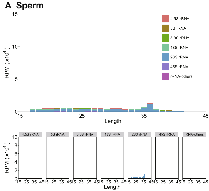 sRNA注释pipeline介绍：sports1.1-腾讯云开发者社区-腾讯云