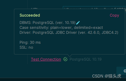 如何使用IDEA连接PostgreSQL数据库：从新手到高手的全面指南-腾讯云开发者社区-腾讯云
