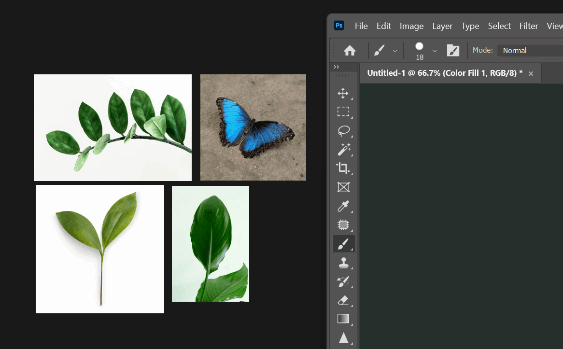 PureRef：打造你的专属灵感宝库，让创意不再“卡壳”！-腾讯云开发者社区-腾讯云