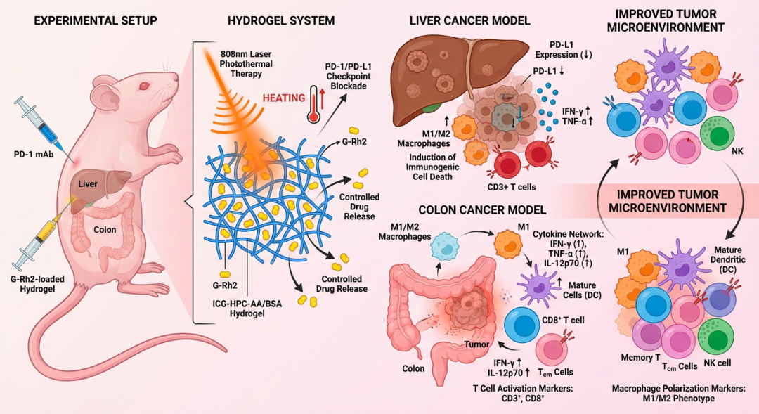一分钟学会顶刊5大类必备图形（一）：最难画的“概念与机理图”，AI帮你搞定！-腾讯云开发者社区-腾讯云