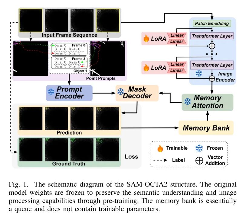 SAM-OCTA2 一种高效的OCTA图像层序列与投影分割方法 ！-腾讯云开发者社区-腾讯云