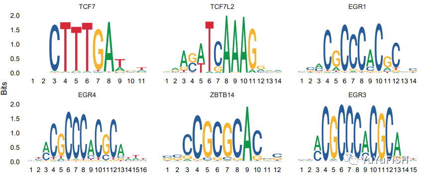 scATAC-seq| motif 分析-腾讯云开发者社区-腾讯云