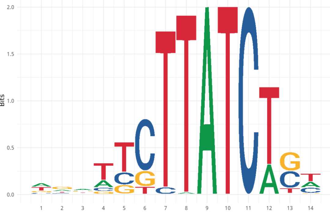 在R语言中的 ATACseq 数据分析全流程实战（七）：Motif分析-腾讯云开发者社区-腾讯云