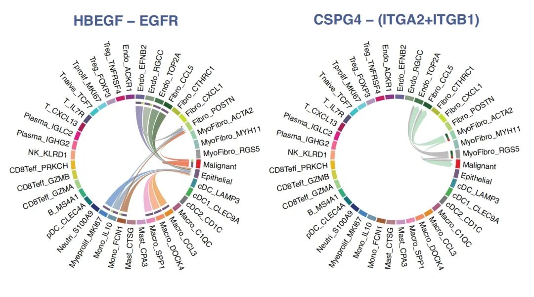 cellchat细胞通讯绘制弦图函数的参数这么难搞定吗？-腾讯云开发者社区-腾讯云