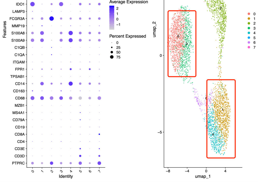 monocle2拟时序实战细节剖析（拟时序一本通04）-腾讯云开发者社区-腾讯云