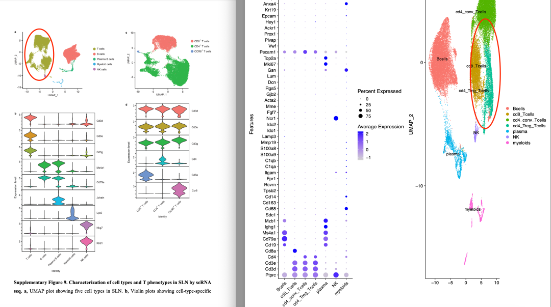 小鼠的5个样品的10x技术单细胞转录组上游定量（文末赠送全套代码）-腾讯云开发者社区-腾讯云