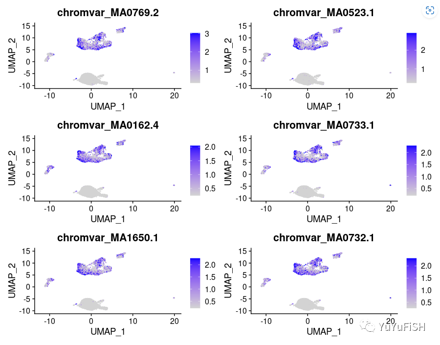 scATAC-seq| motif 分析-腾讯云开发者社区-腾讯云