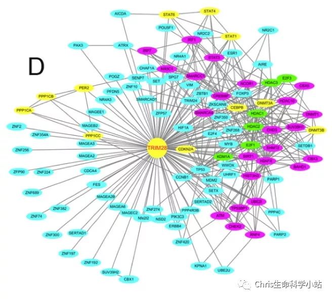 从零到壹：Cytoscape插件使用心得~MCODE篇-腾讯云开发者社区-腾讯云