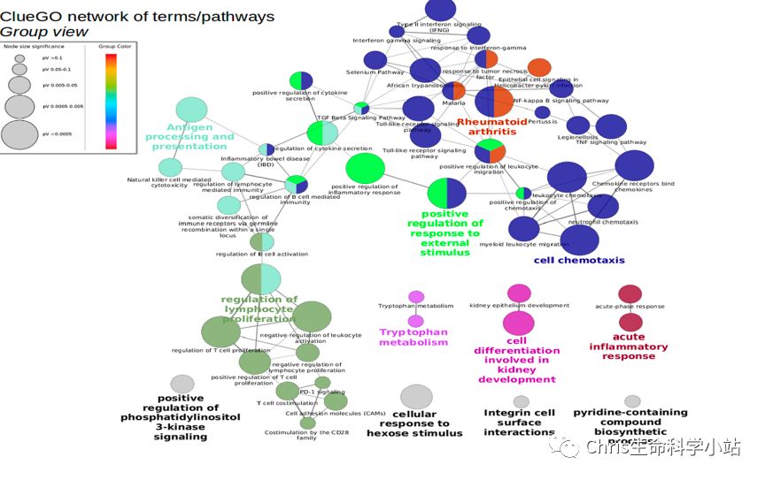 从零到壹：Cytoscape插件使用心得~预告篇-腾讯云开发者社区-腾讯云
