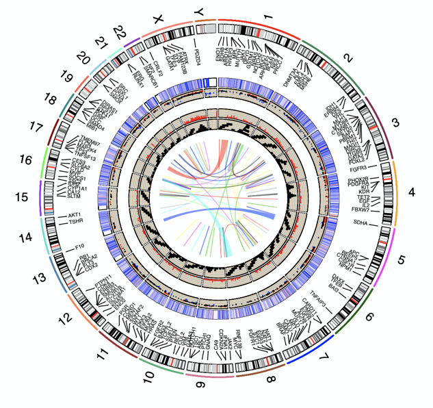 【画图】RCircos（一）：先画一个Demo找找感觉-腾讯云开发者社区-腾讯云