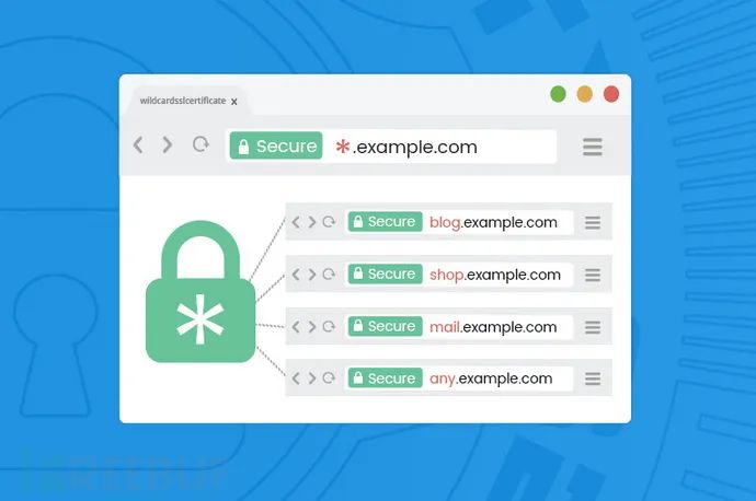 如何使用GSAN从HTTPS网站的SSL证书中提取子域名-腾讯云开发者社区-腾讯云