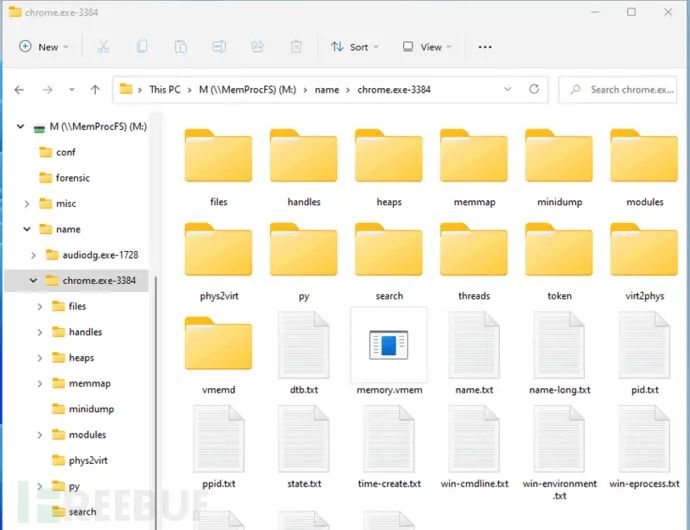 MemProcFS：在虚拟文件系统中以文件形式查看物理内存-腾讯云开发者社区-腾讯云