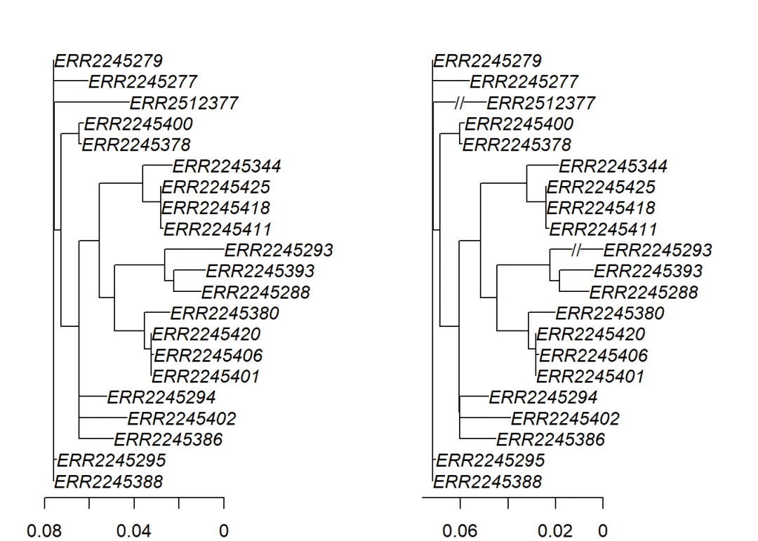 R包神器 | 系统发育和进化分析 - ape (一)-腾讯云开发者社区-腾讯云