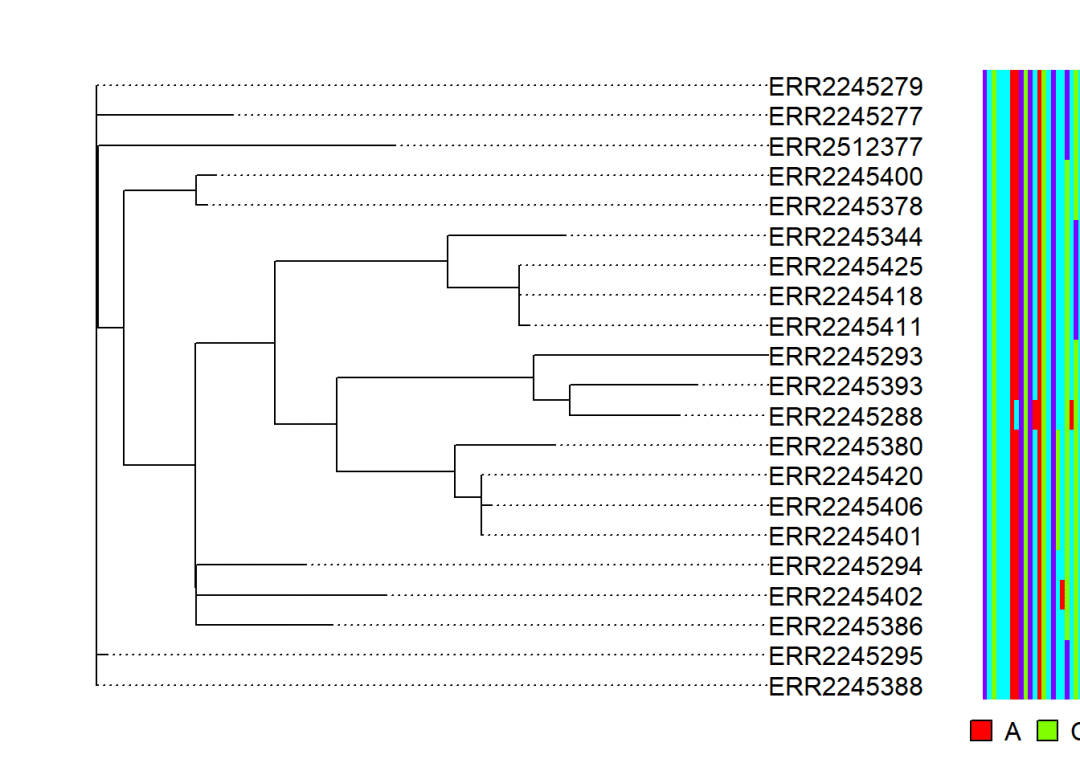 R包神器 | 系统发育和进化分析 - ape (一)-腾讯云开发者社区-腾讯云