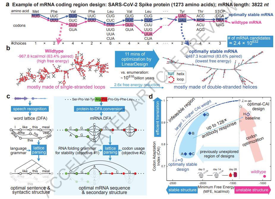 百度出品，Nature重磅 -- 优化的mRNA设计算法可改善mRNA的稳定性和免疫原性-腾讯云开发者社区-腾讯云