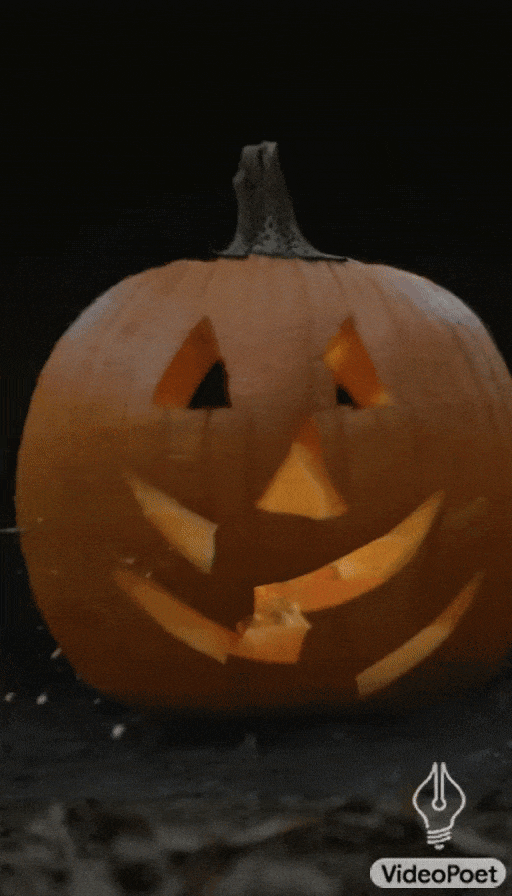 谷歌10秒视频生成模型破世界记录！LLM终结扩散模型，效果碾压顶流Gen-2-腾讯云开发者社区-腾讯云