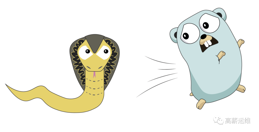 Golang 1 Cobra Flag Golang 1 Cobra Flag