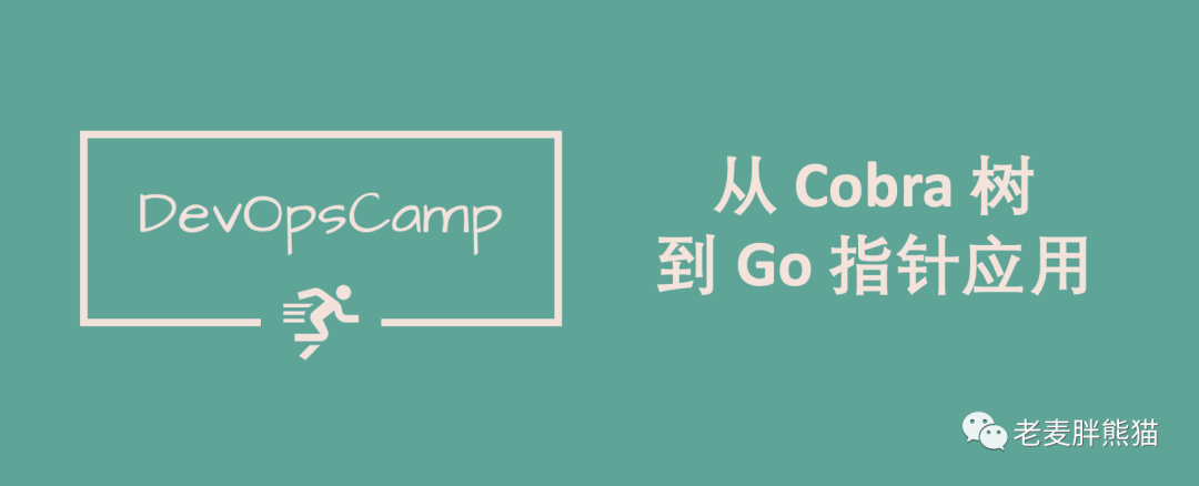 DevOpsCamp第2期：从 《cobra - 06 持久化命令》 开始聊聊 Go语言 指针类型的使用注意事项-腾讯云开发者社区-腾讯云