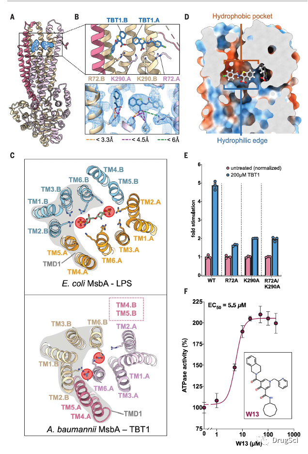 文献阅读-MsbA的变构抑制机制研究-腾讯云开发者社区-腾讯云