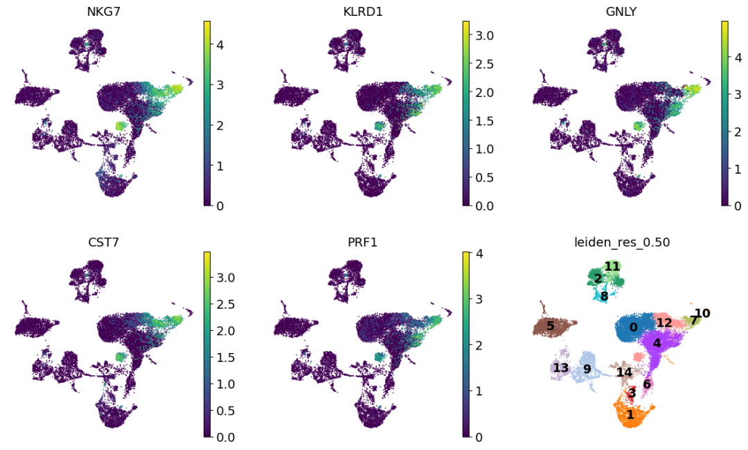 Scanpy 分析 scRNA-seq：细胞类型注释-腾讯云开发者社区-腾讯云