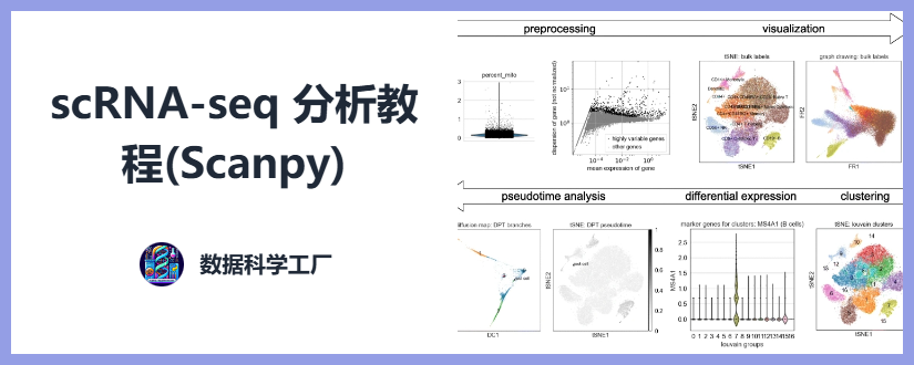 Scanpy 分析 scRNA-seq：降维与聚类-腾讯云开发者社区-腾讯云