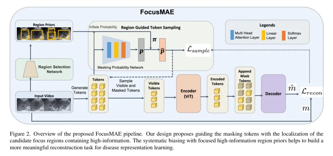 MAE再次升级，FocusMAE开源 | 源于MAE又高于MAE，有更高质量的表征&全新的架构设计-腾讯云开发者社区-腾讯云