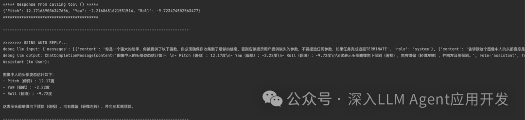 给LLM Agent应用插上视觉模型的翅膀：封装ONNX加载的头部姿态评估模型作为Agent的工具-腾讯云开发者社区-腾讯云