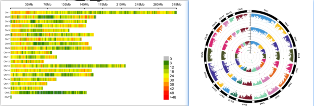GWAS分析中可视化：QQ图和曼哈顿图-腾讯云开发者社区-腾讯云