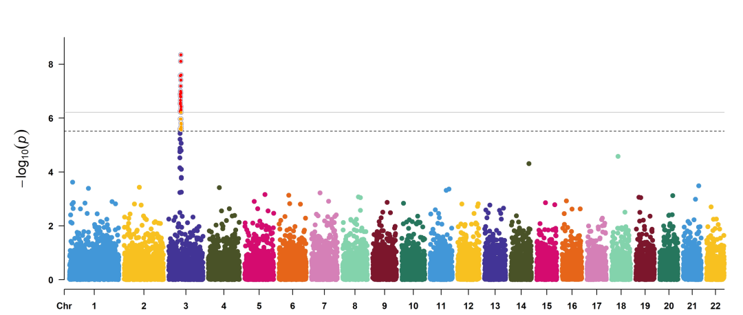 GWAS分析中可视化：QQ图和曼哈顿图-腾讯云开发者社区-腾讯云