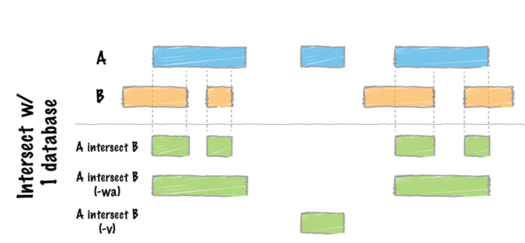 使用bedtools进行gwas基因注释-腾讯云开发者社区-腾讯云