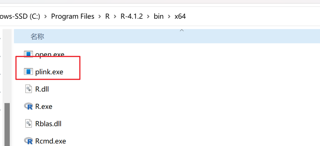当R语言遇到plink，就在R中运行plink吧-腾讯云开发者社区-腾讯云