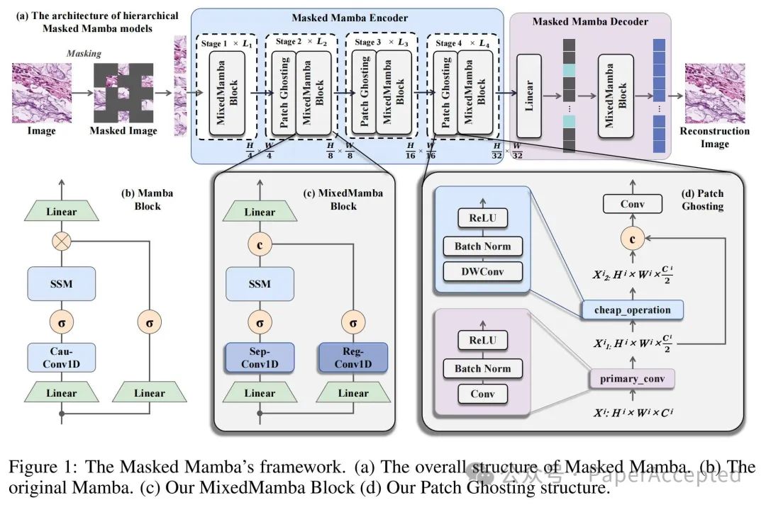 Masked Mamba: 基于Mamba的病理图像分类的自监督框架-腾讯云开发者社区-腾讯云