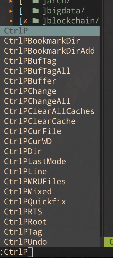 vim-IDE进化06-模糊搜索ctrlpvim-腾讯云开发者社区-腾讯云