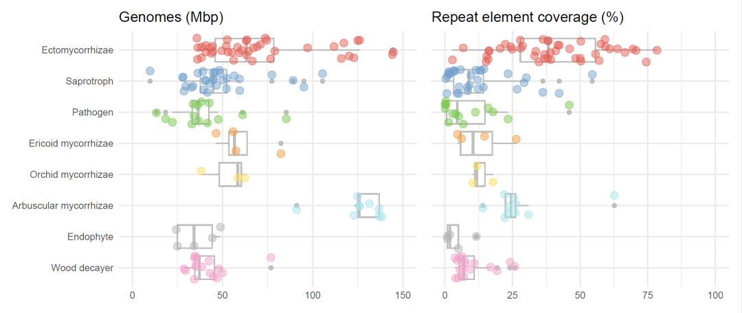 跟着Nature Communications学作图：R语言ggplot2箱线图/抖动散点图展示多物种基因组大小和TE含量-腾讯云开发者社区-腾讯云