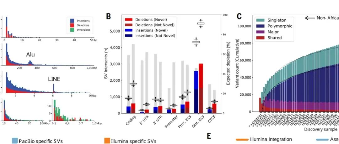 跟着Science学数据分析：二倍体基因组如果组装成两套单倍型基因组如何检测结构变异-腾讯云开发者社区-腾讯云