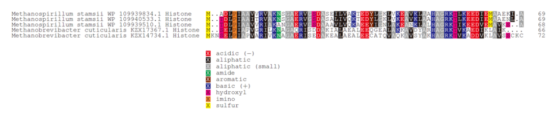 跟着Nature Ecology&Evolution学作图:R语言ggmsa包展示多序列比对结果-腾讯云开发者社区-腾讯云