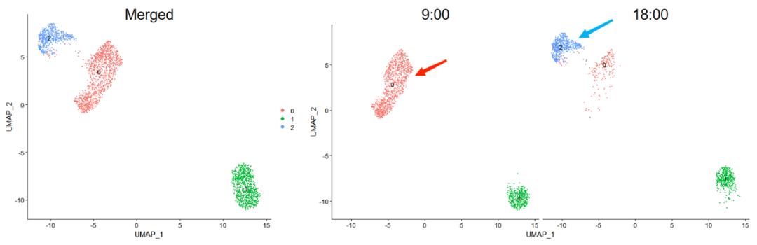 新品首发｜VITA GutMicrobiome：解锁肠道菌群的单细菌转录组-腾讯云开发者社区-腾讯云
