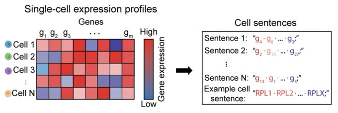 单细胞数据与语言模型的强强联合——Cell2Sentence-腾讯云开发者社区-腾讯云