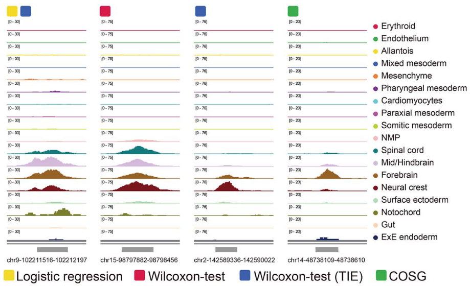 单细胞分析工具||COSG鉴定marker基因-腾讯云开发者社区-腾讯云