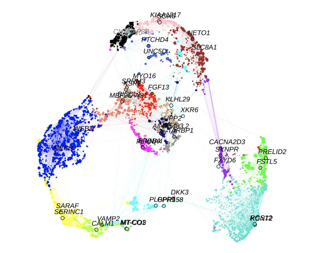 生信爱好者周刊（第 42 期）：极简主义的胜利-腾讯云开发者社区-腾讯云