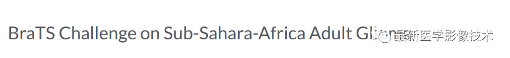 BraTS2023-SSA——BraTS2023撒哈拉以南非洲成人胶质瘤分割挑战-腾讯云开发者社区-腾讯云