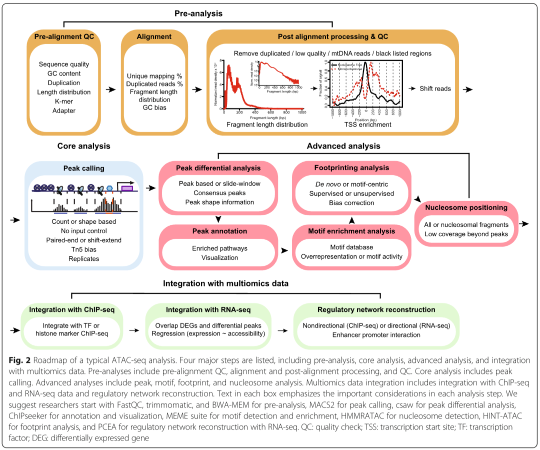 Genome Biol. IF 9.4 Q1 | ATAC-seq 数据分析实用指南，根据本文就可以构建ATAC生信分析流程了-腾讯云开发者社区-腾讯云