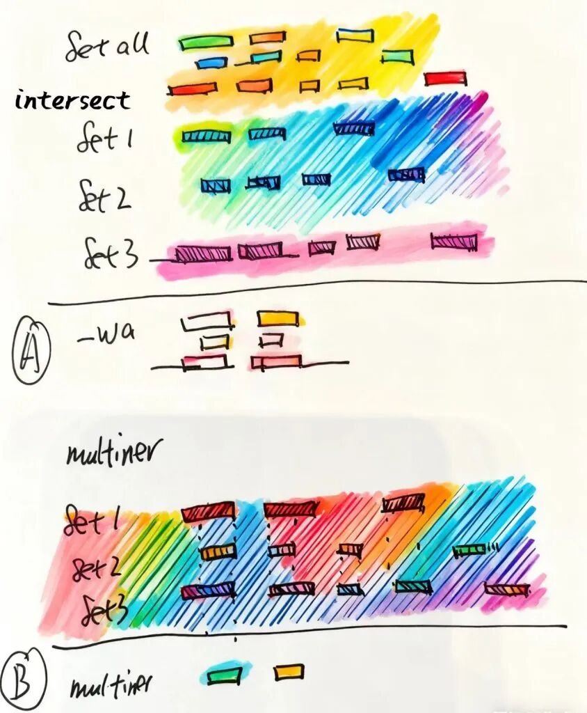 【ChIP-seq分析】超级增强子系列4： 用bedtools来进行共识SE的分析-腾讯云开发者社区-腾讯云
