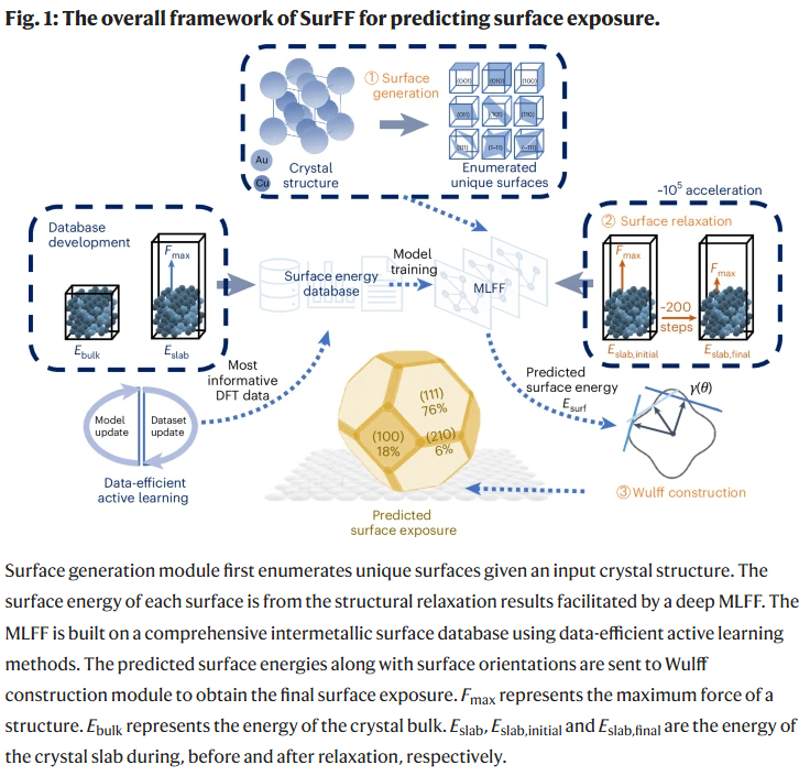 Nat. Comput. Sci. | SurFF：跨金属间化合物晶体表面暴露与形貌的基础模型-腾讯云开发者社区-腾讯云