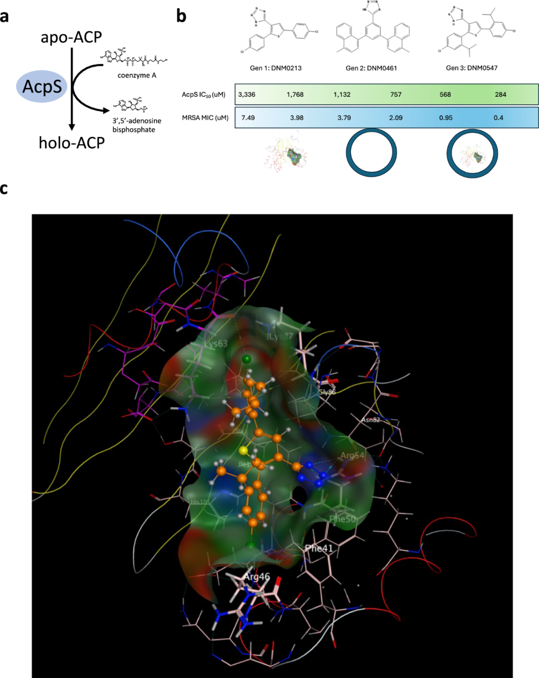 Nat. Commun. | 使用CADD针对AcpS设计全新抗生素家族，实验效果显著！-腾讯云开发者社区-腾讯云