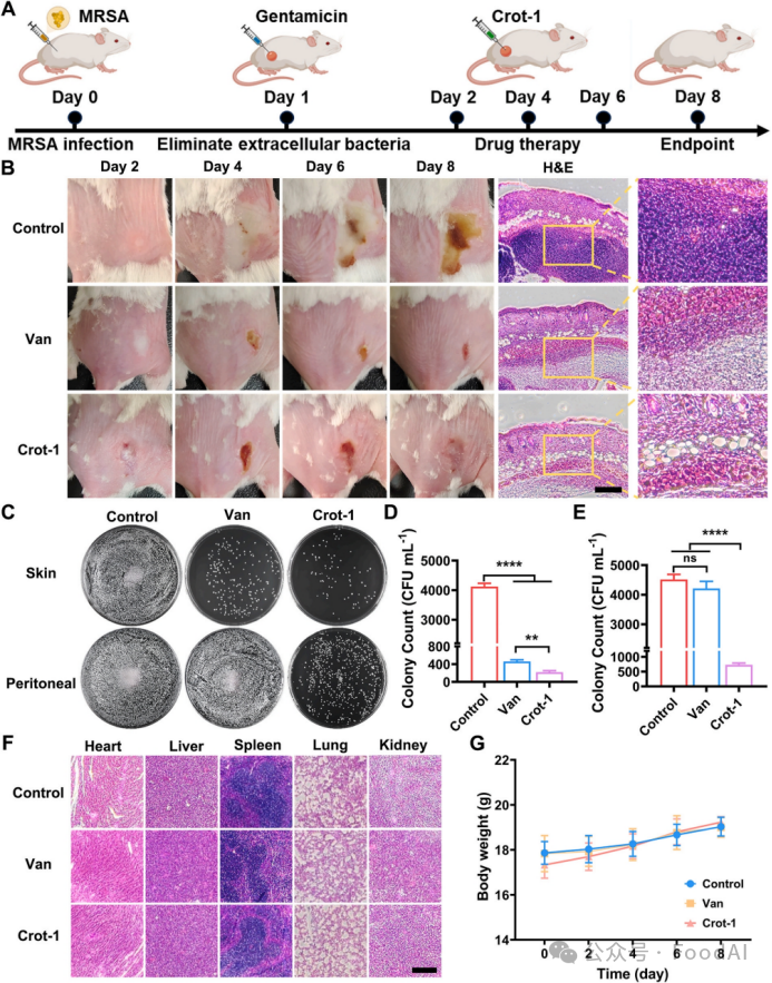 Bioact. Mater. | 基于集成计算策略开发新型抗胞内菌感染药物-腾讯云开发者社区-腾讯云