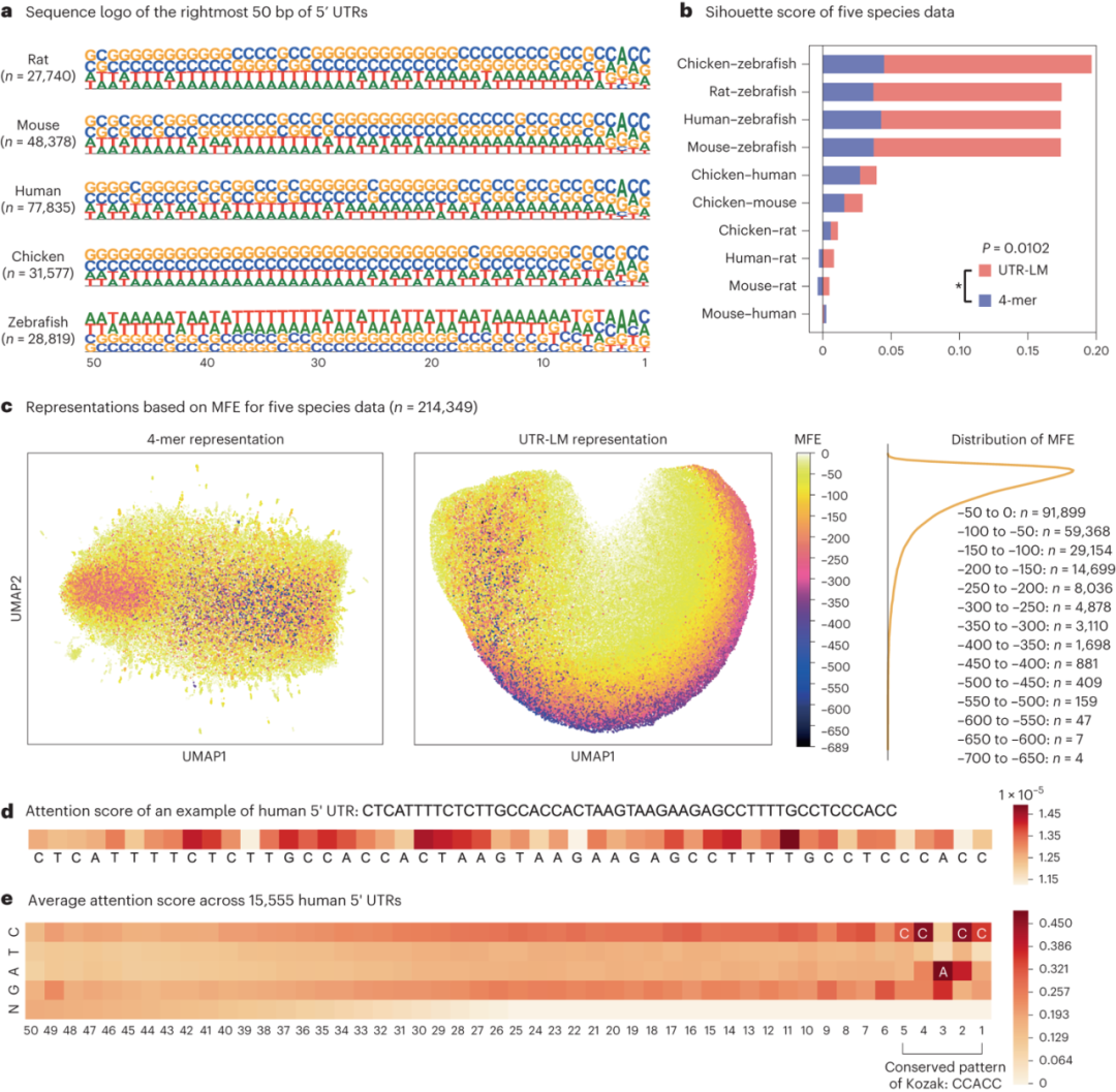 Nat. Mach. Intell. | 5′ UTR语言模型：开辟蛋白质表达预测与优化的新途径-腾讯云开发者社区-腾讯云